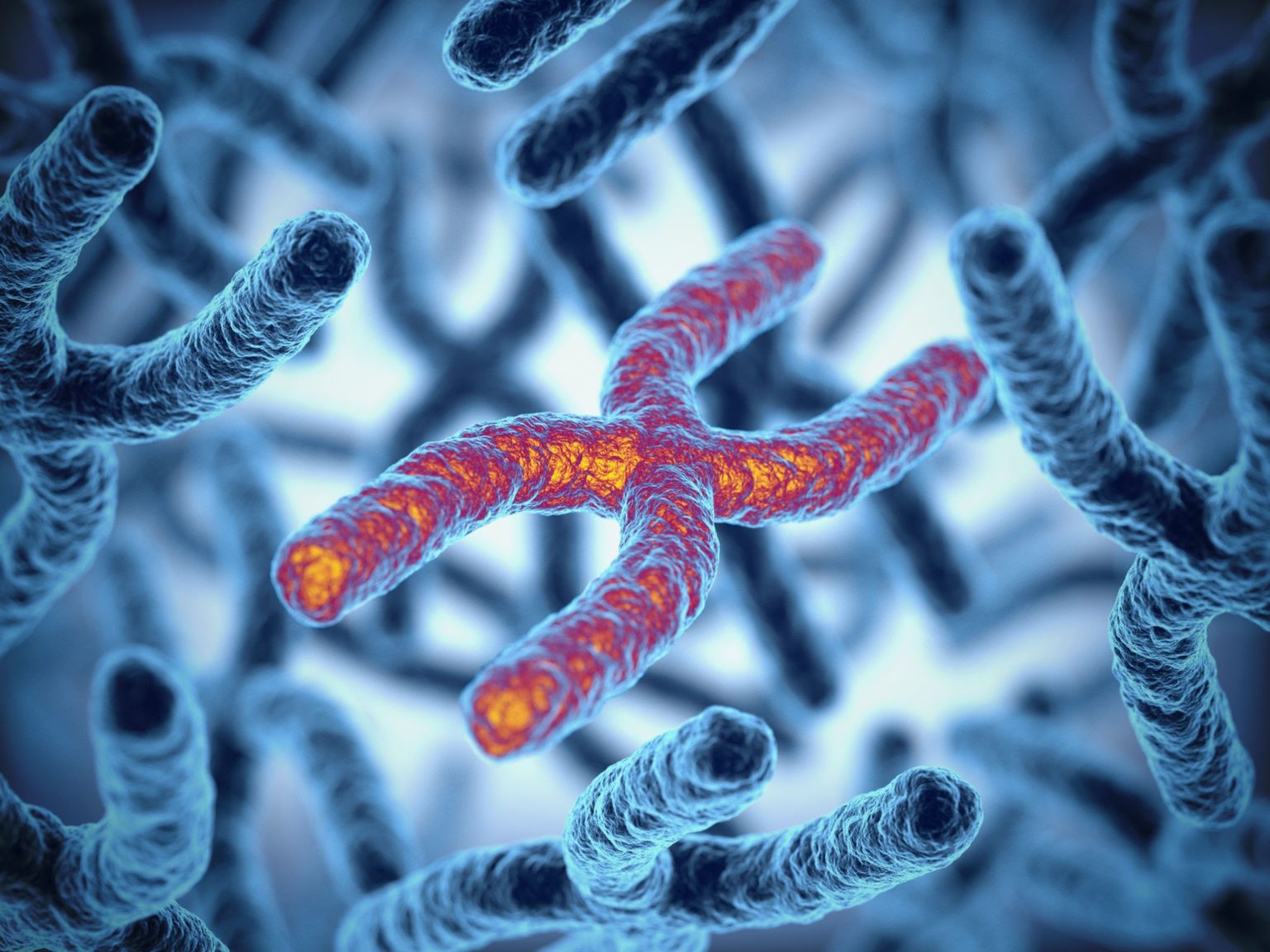 Nearly All People Have Sex Chromosomes In Accordance With Their